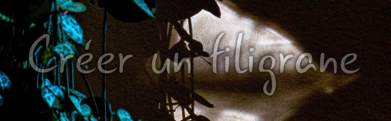 Créer un filigrane (signature) sur vos photos ? Tutoriel PDF