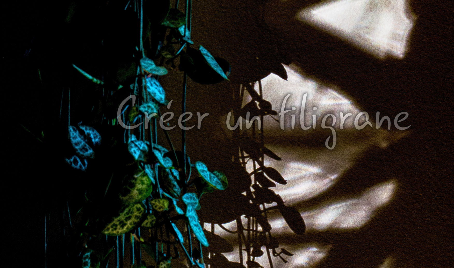 Créer un filigrane (signature) sur vos photos ? Tutoriel PDF